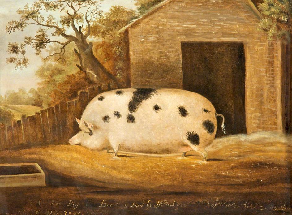 Lewis Lapham Reads “A Pig for All Seasons” | Lapham’s Quarterly Lewis Lapham Reads “A Pig for All Seasons” | Lapham’s Quarterly