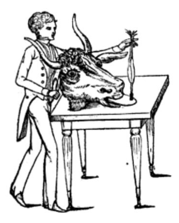 Aldini | Lapham’s Quarterly