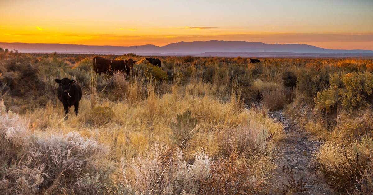 Sovereign Lands | Lapham’s Quarterly