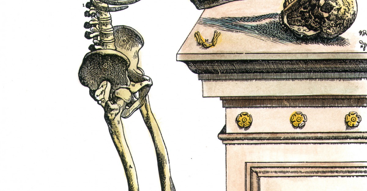 Medicine: Skeleton contemplating a skull | Lapham’s Quarterly