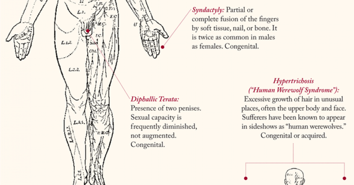 What Seems to Be the Problem? | Lapham’s Quarterly What Seems to Be the Problem? | Lapham’s Quarterly
