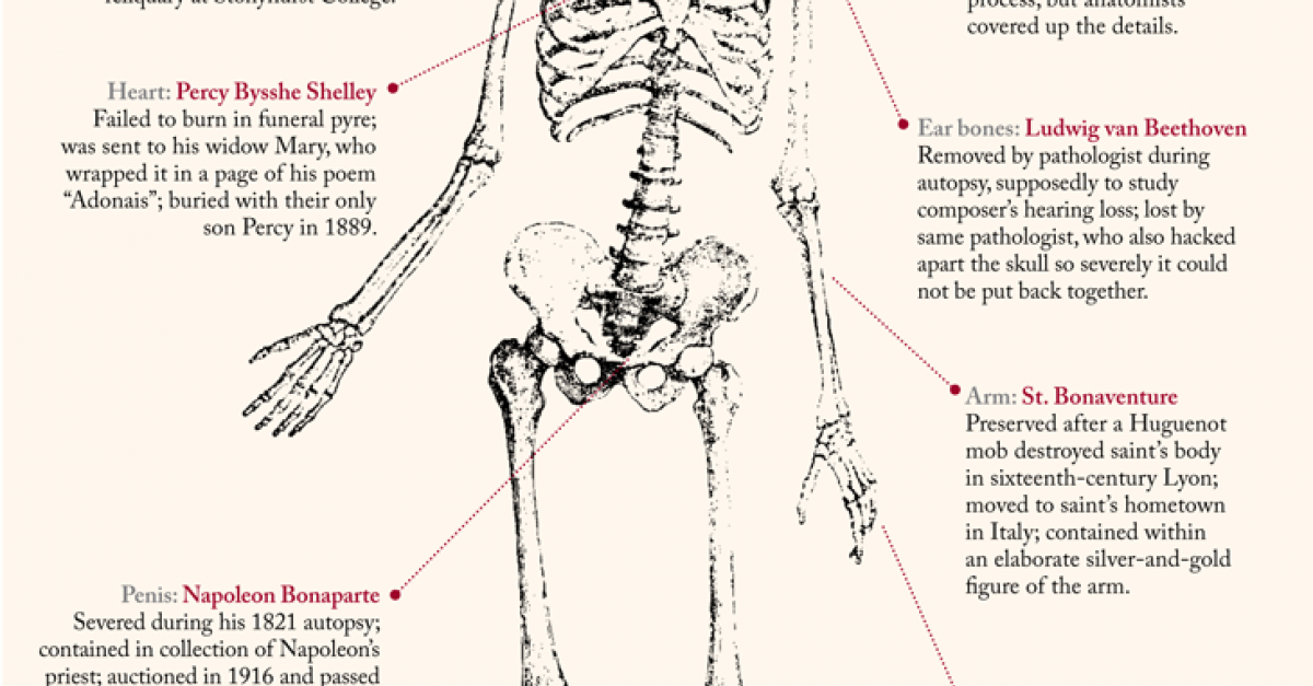 Body Snatchers | Lapham’s Quarterly