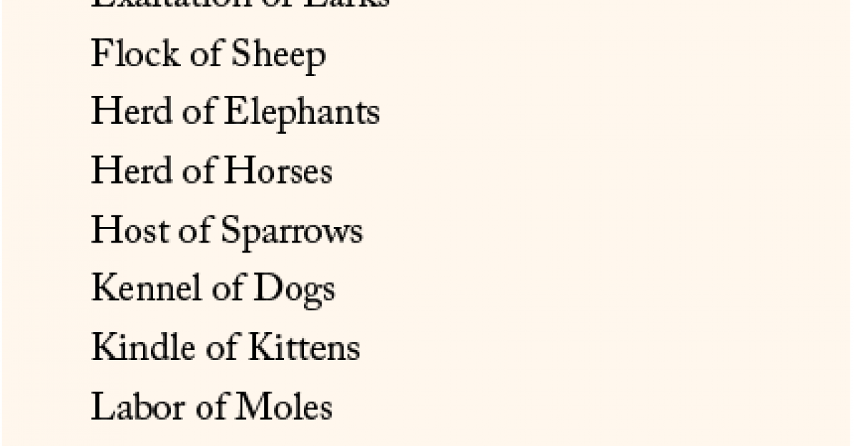 Terms of Venery | Lapham’s Quarterly