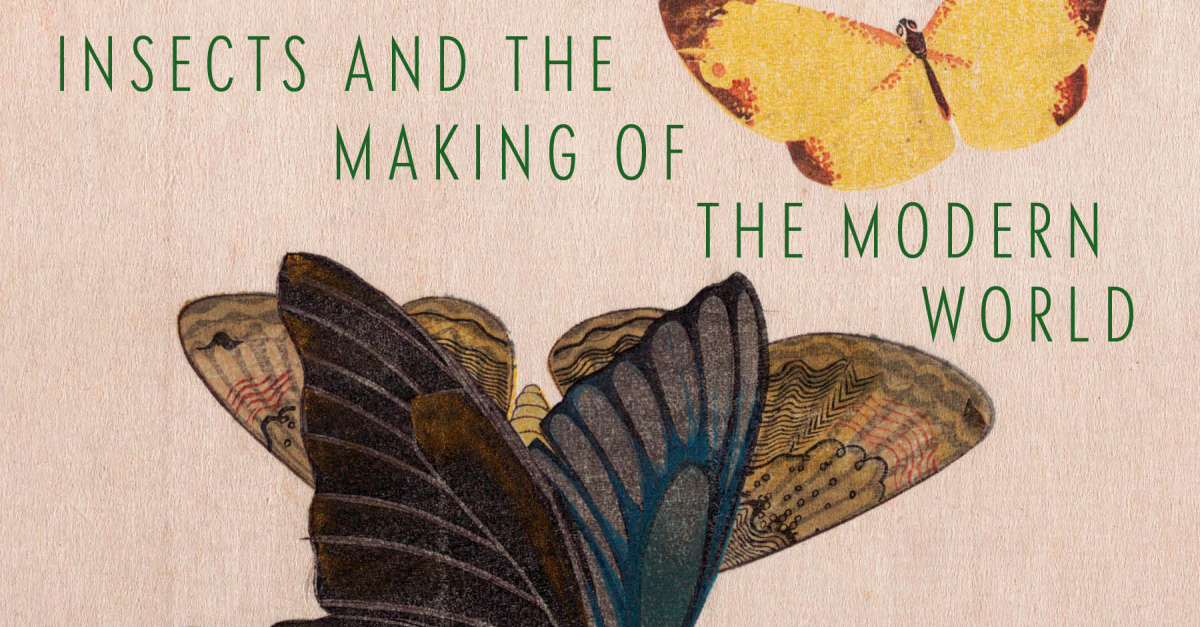 Edward D. Melillo | Lapham’s Quarterly