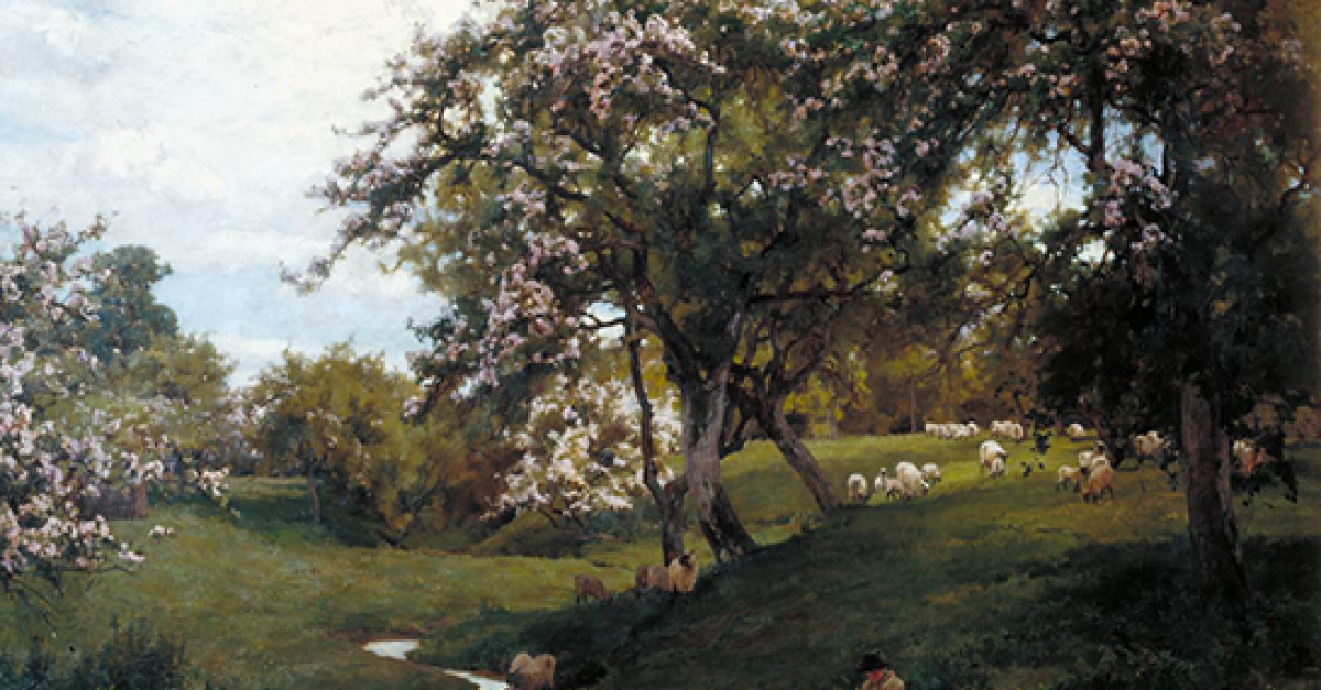 Isabella Tree | Lapham’s Quarterly