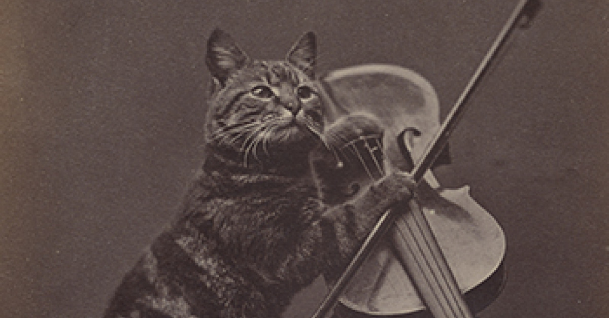 The Rest Is History | Lapham’s Quarterly