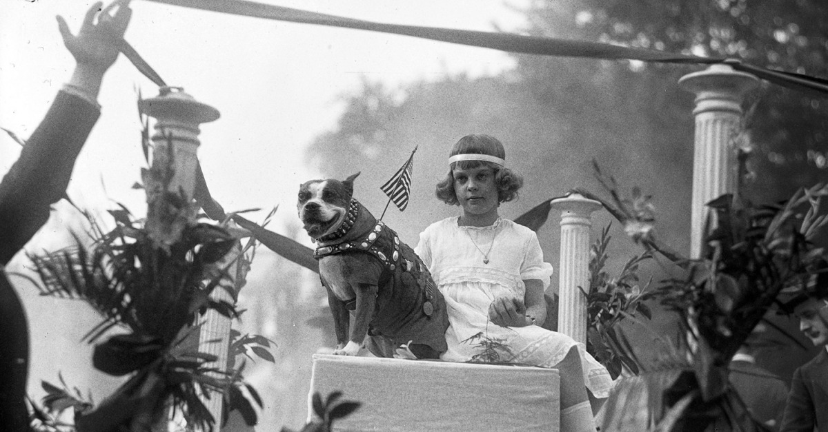 They Called Him Sergeant Stubby | Lapham’s Quarterly